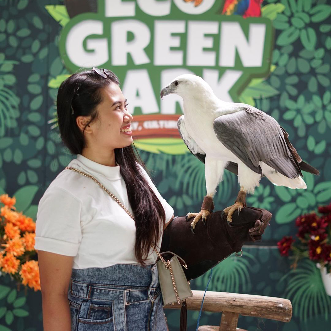 Bird Show