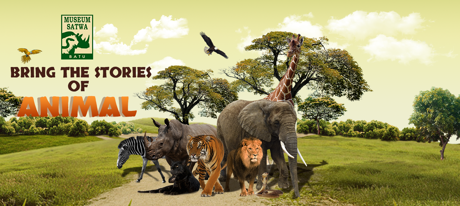 Home - Museum Satwa Jawa Timur Park 2