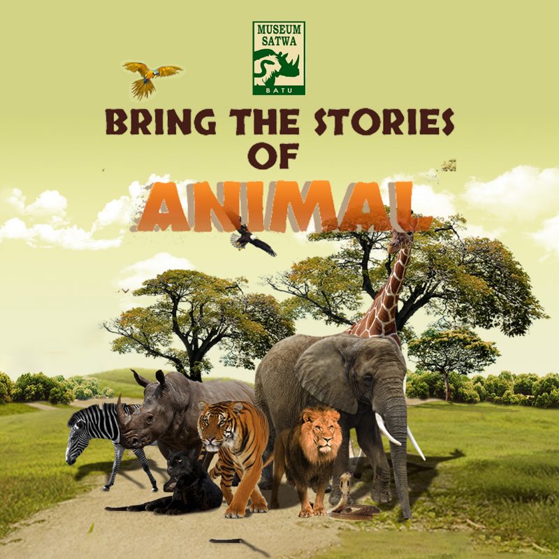 Home - Mobile Museum Satwa Jawa Timur Park 2